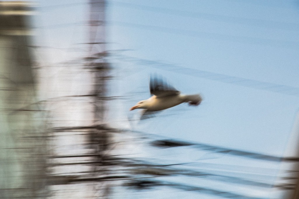 Jade Lora Sullivan by JAI for C-Heads - C-Heads Magazine