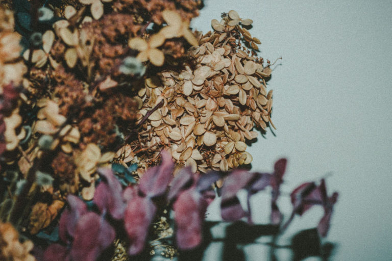 Photography Visions with Christopher Eades - C-Heads Magazine