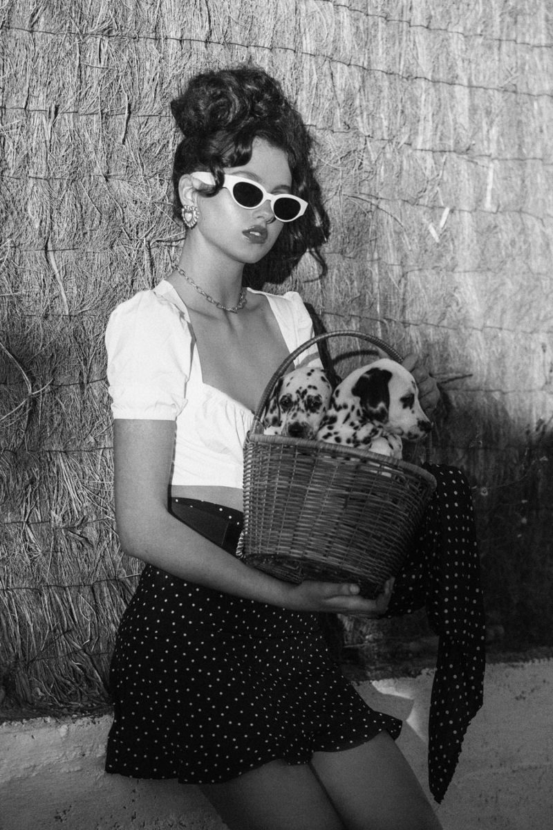 Dalmatian Love - C-Heads Magazine