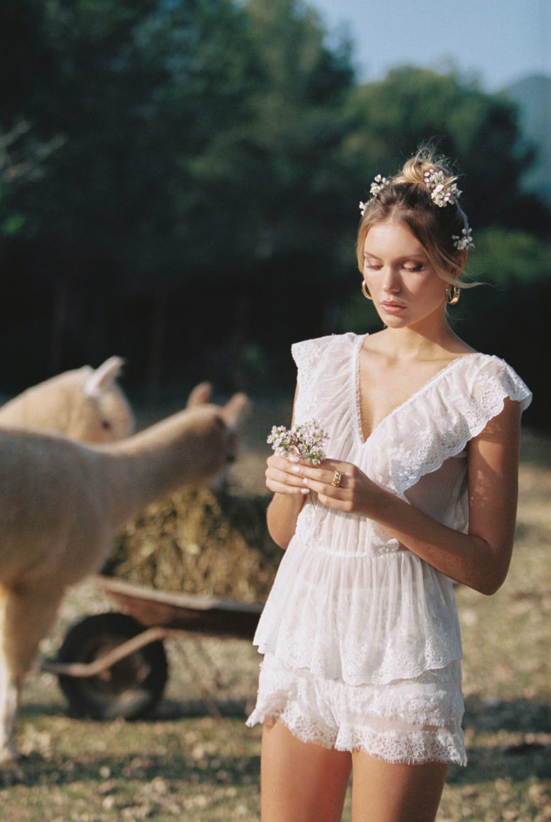 Alpacas Ibiza - C-Heads Magazine