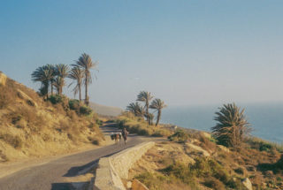 "Passion means the urge to just have to do something." The world of Jonas Schilders - C-Heads ...