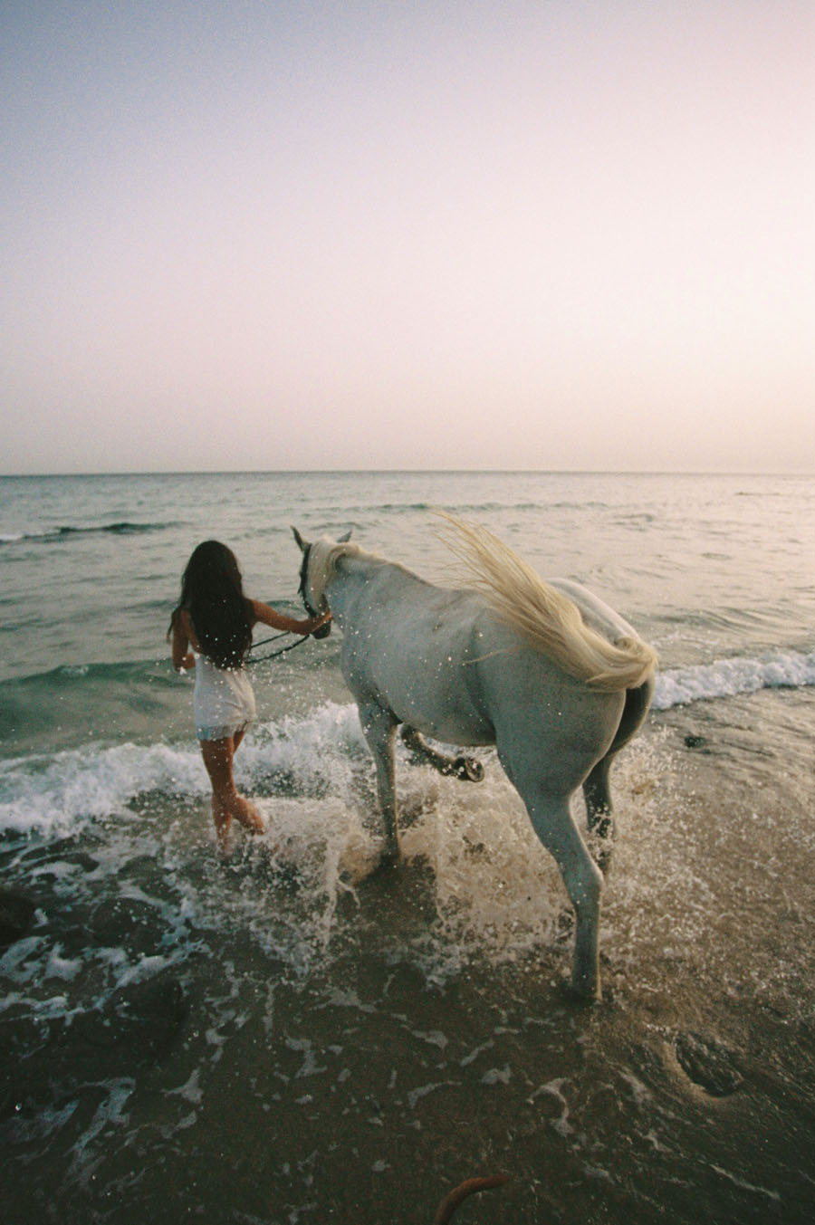 Wild Ride - C-Heads Magazine