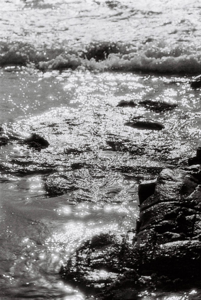 Early Spring Morning - C-Heads Magazine