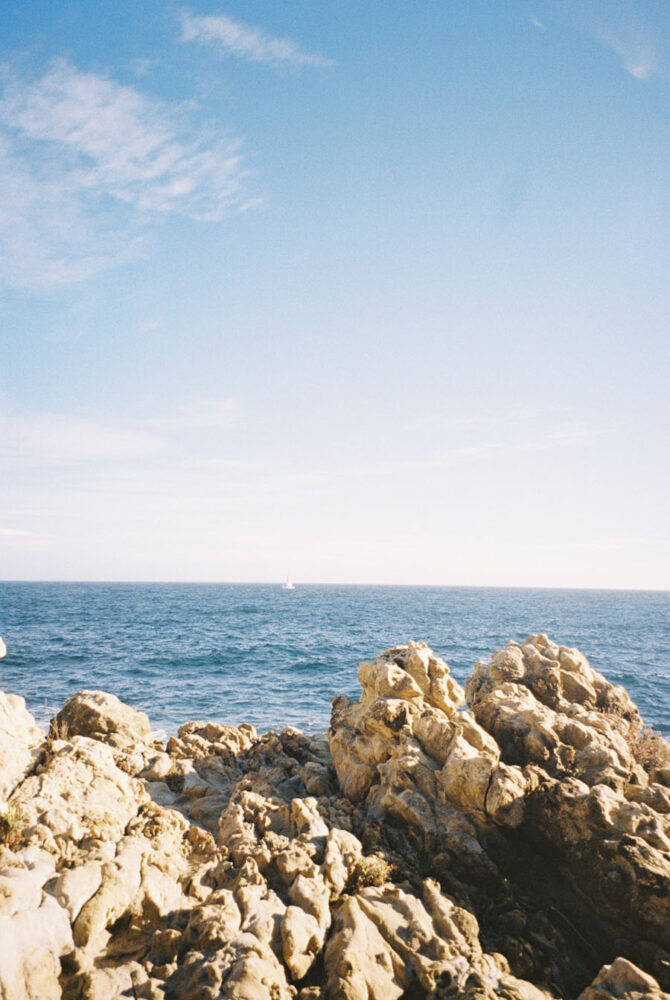 Untamed Shores - C-Heads Magazine