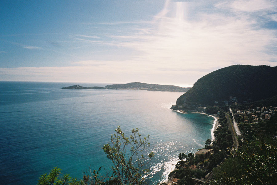 Untamed Shores - C-Heads Magazine