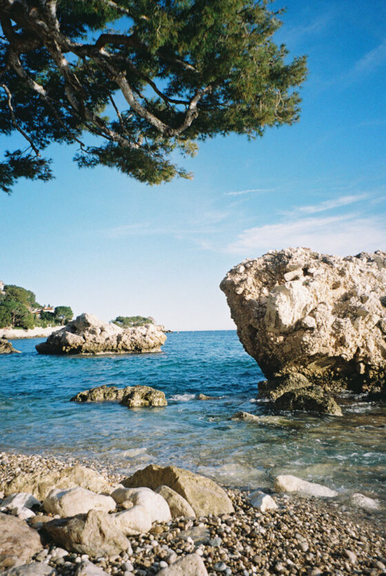 Untamed Shores - C-Heads Magazine