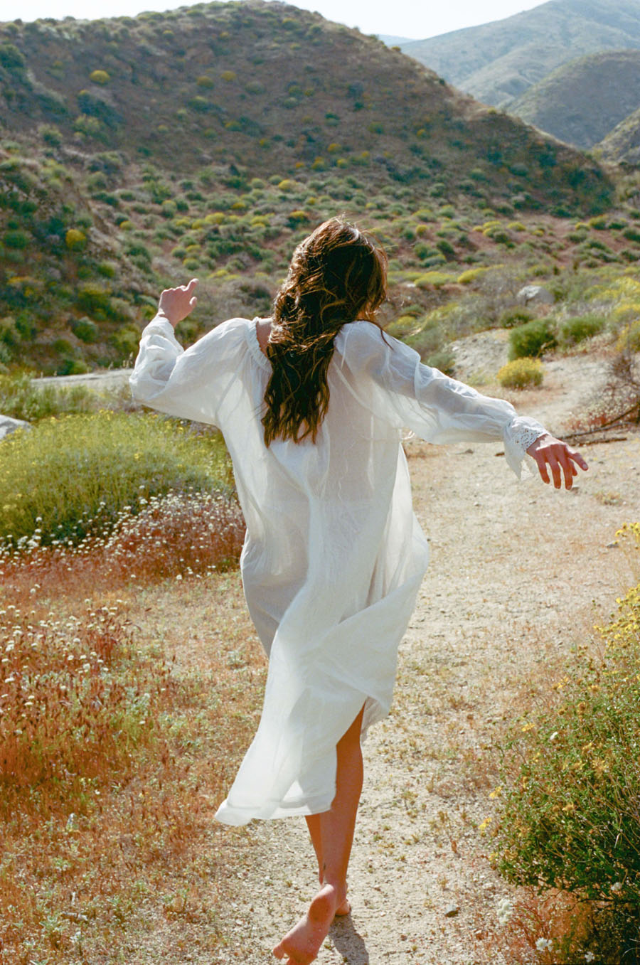 Desert Daydream - C-Heads Magazine