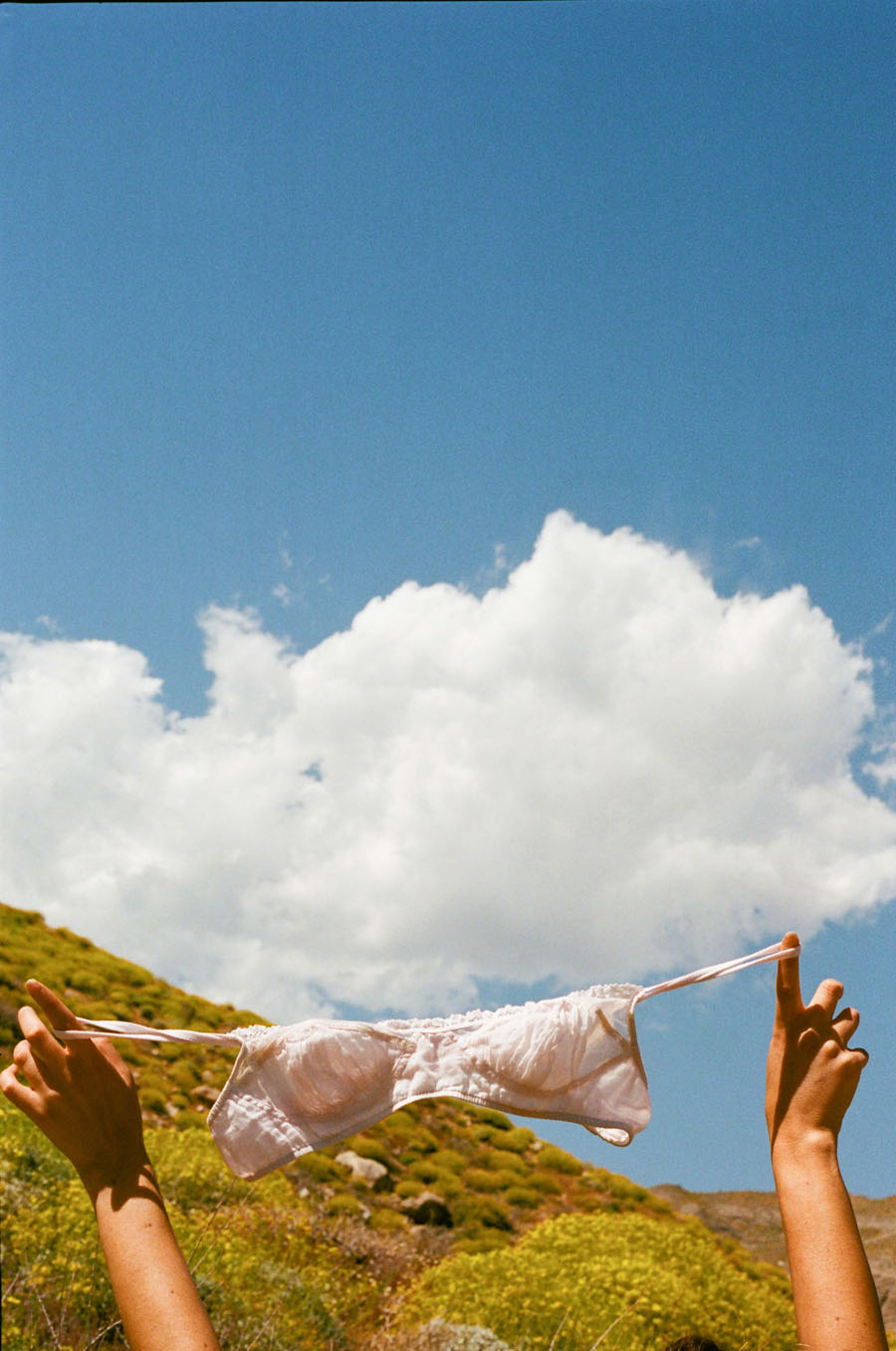 Desert Daydream - C-Heads Magazine