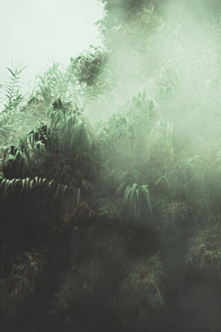 Bathing in the Pools - C-Heads Magazine