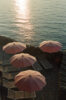 "Compelling imagery has the ability to change perceptions." A Moment ...