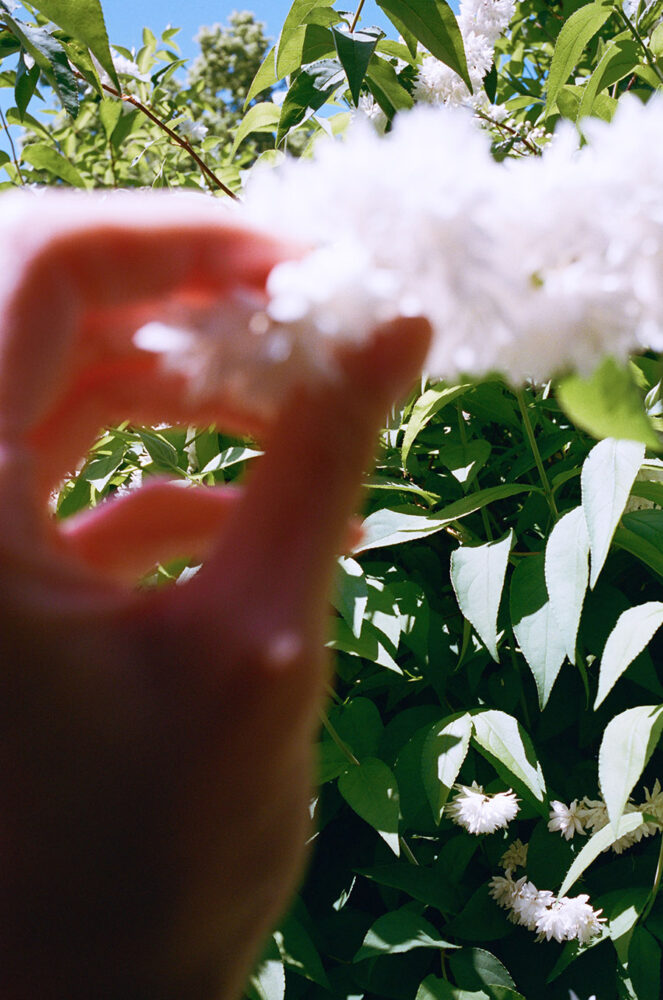 Moon Kyu Lee's Story of Hope, Art, and Healing - C-Heads Magazine