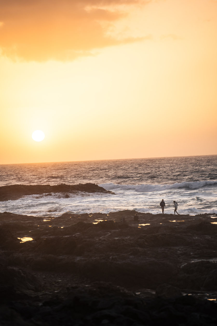 Into the Wild Together - C-Heads Magazine