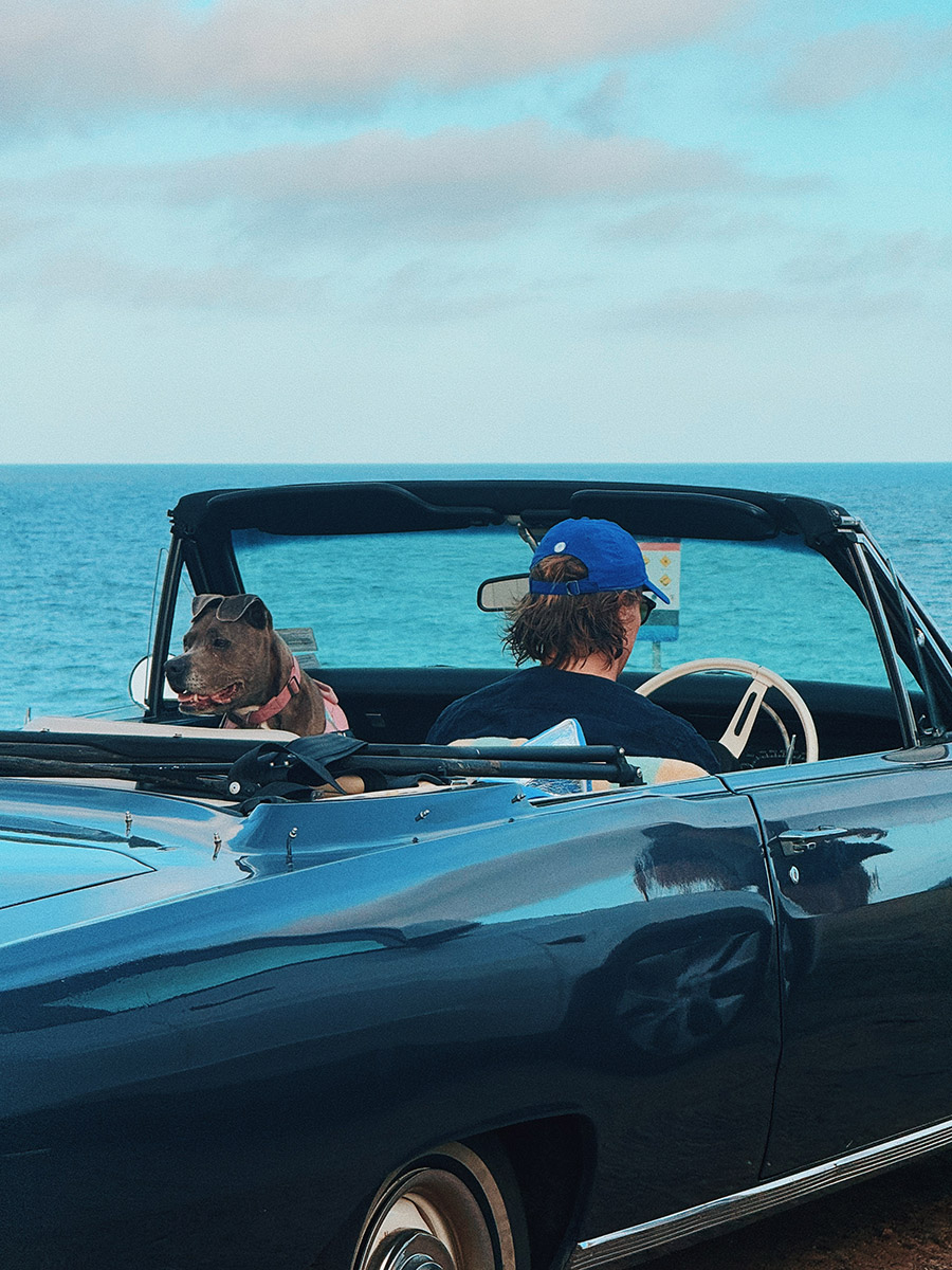 “An artist´s life.” The stories of the people behind the art #26 Carla ...